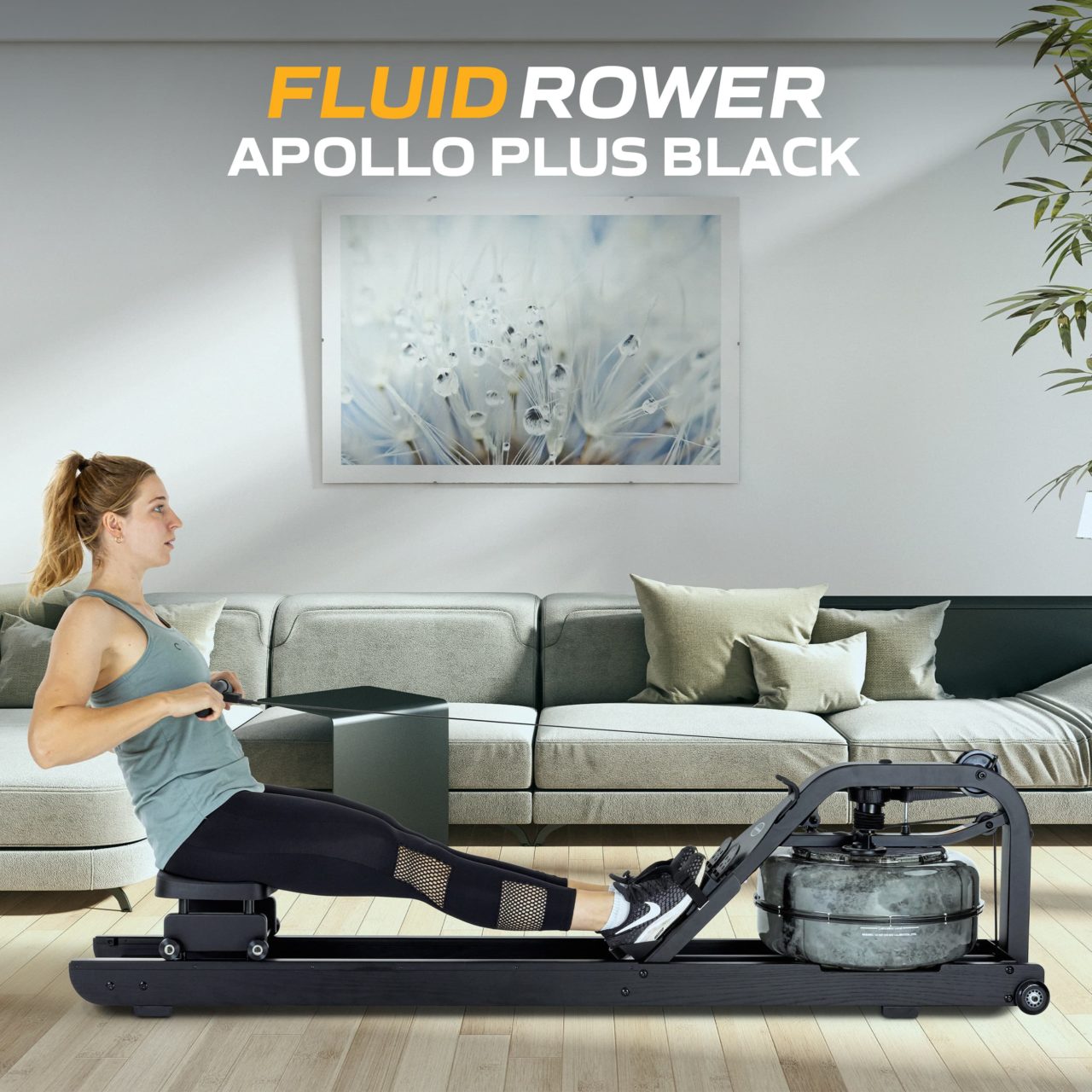Fluid Rower, Rameur Apollo Plus Black - Training Series
